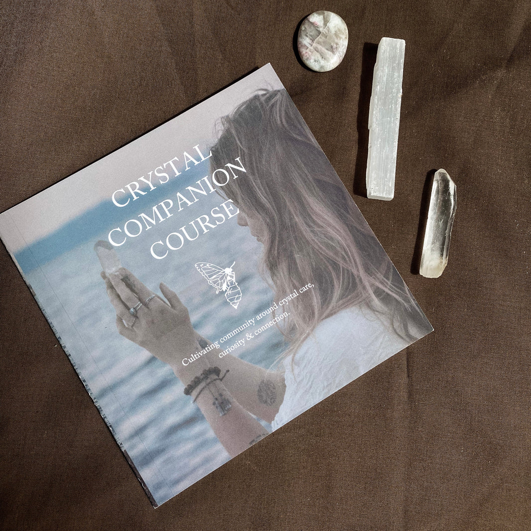 The Chrysalis Effect